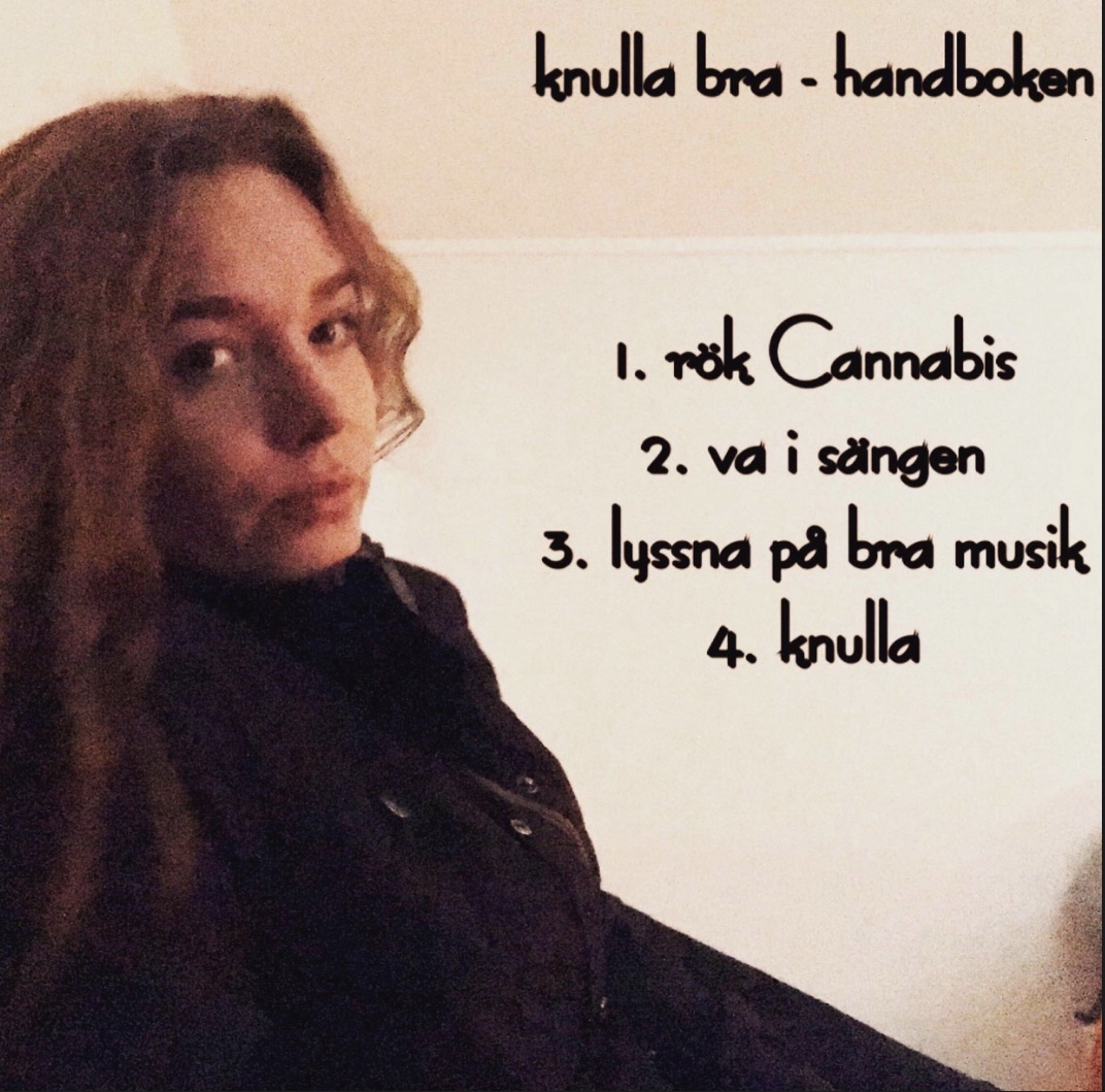 Handboken – milva moog